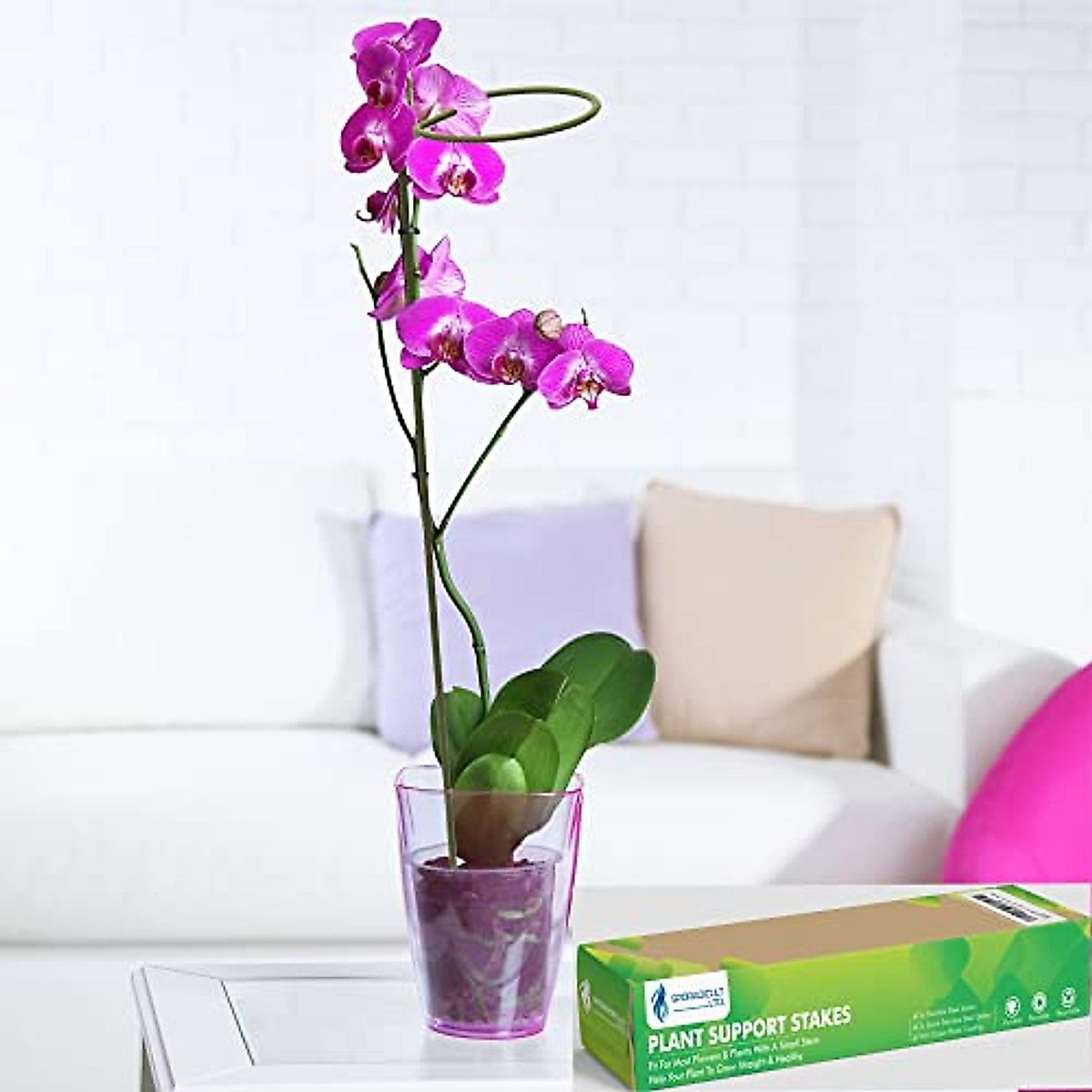 Stem Plant Support Stakes – 16 inches 3X Single Stem Flower Stakes and 3X Spiral Support for Climbing Plants Garden Stakes and Support for Potted Plants Rose Orchid Lily Dahlia Clematis Ipomoea