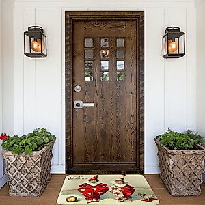 THIYOTA Welcome Mats for Front Door Entry Go Away Doormat Non Slip Mat for Home Indoor Farmhouse Funny Kitchen Rugs Patio Greeting Front Porch Rugs 16x24 Inch