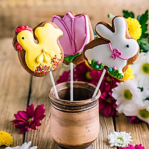 LSYGXYZ 50 Pieces Acrylic Lollipop Sticks, Clear Cake Pops for Candy Dessert Chocolate Handmade DIY, 8 Inch(3mm Diameter)