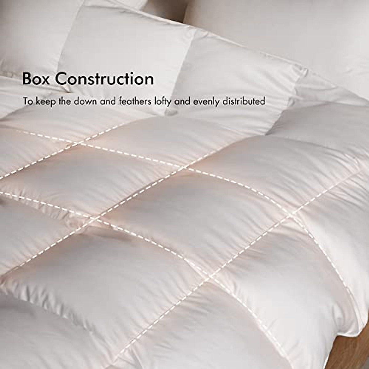 Royoliving Superior Poland Down Comforter 100% Egyptian Cotton Shell All Season Queen/Full Size Quilted Duvet Insert with 4 Corner Tabs and 4 Middle Loops (White All Season, Queen/Full)