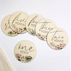 Birchmark Designs Orchid Monthly Baby Milestone Cards