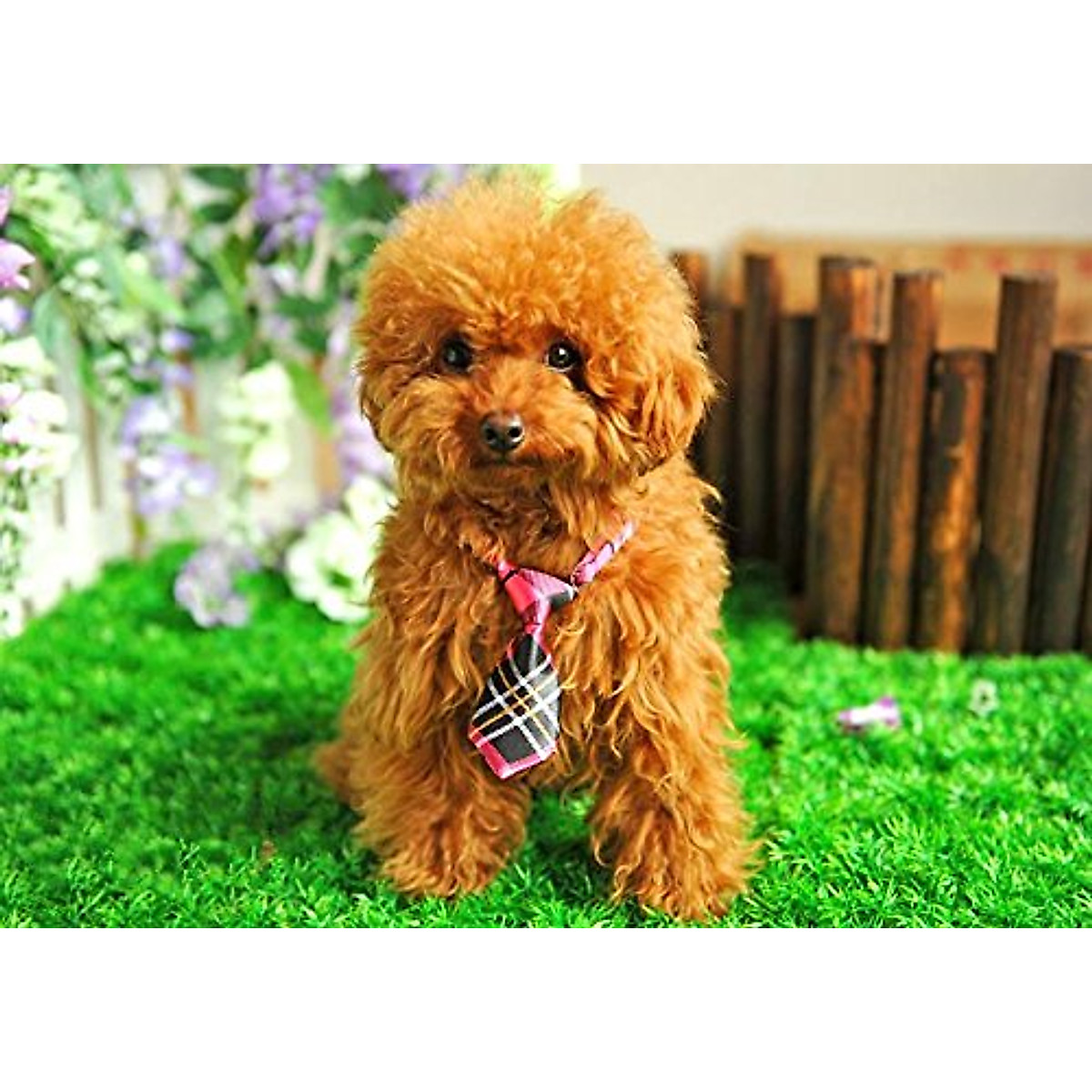 Lebbeen 10pcs/Pack,Cool Gentle Stylish Adjustable Pet Teddy Cat Dog Rabbit Bow Ties Necktie