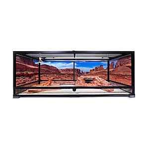 Carolina Custom Cages Reptile Habitat Background; Arches' Park Avenue, for 48Lx24Wx24H Terrarium, 3-Sided Wraparound