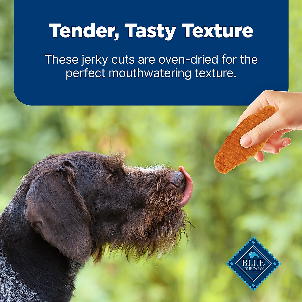 Blue Buffalo Nudges Jerky Cuts Dog Treats, Made in the USA with Natural Ingredients, Chicken & Duck, 10-oz. Bag