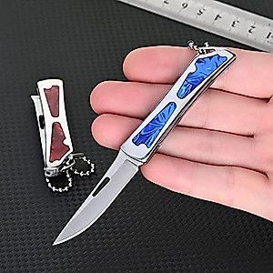 NBGDY Mini Knife Keychain, Small Pocket Folding Knife,EDC Package Opener  Box Cutter Knife. 2PCS(Red and Blue)(KPQ-1029)