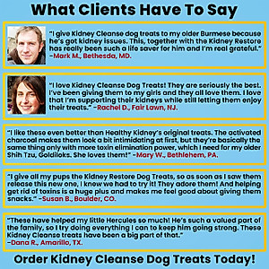 Kidney Cleanse Beef Dog Treats Supports Normal Kidney Toxin Elimination: 20 Oz. Low Protein Beef Dog Treats for Kidney Support. Kidney-Friendly Dog Food Diet Treat.
