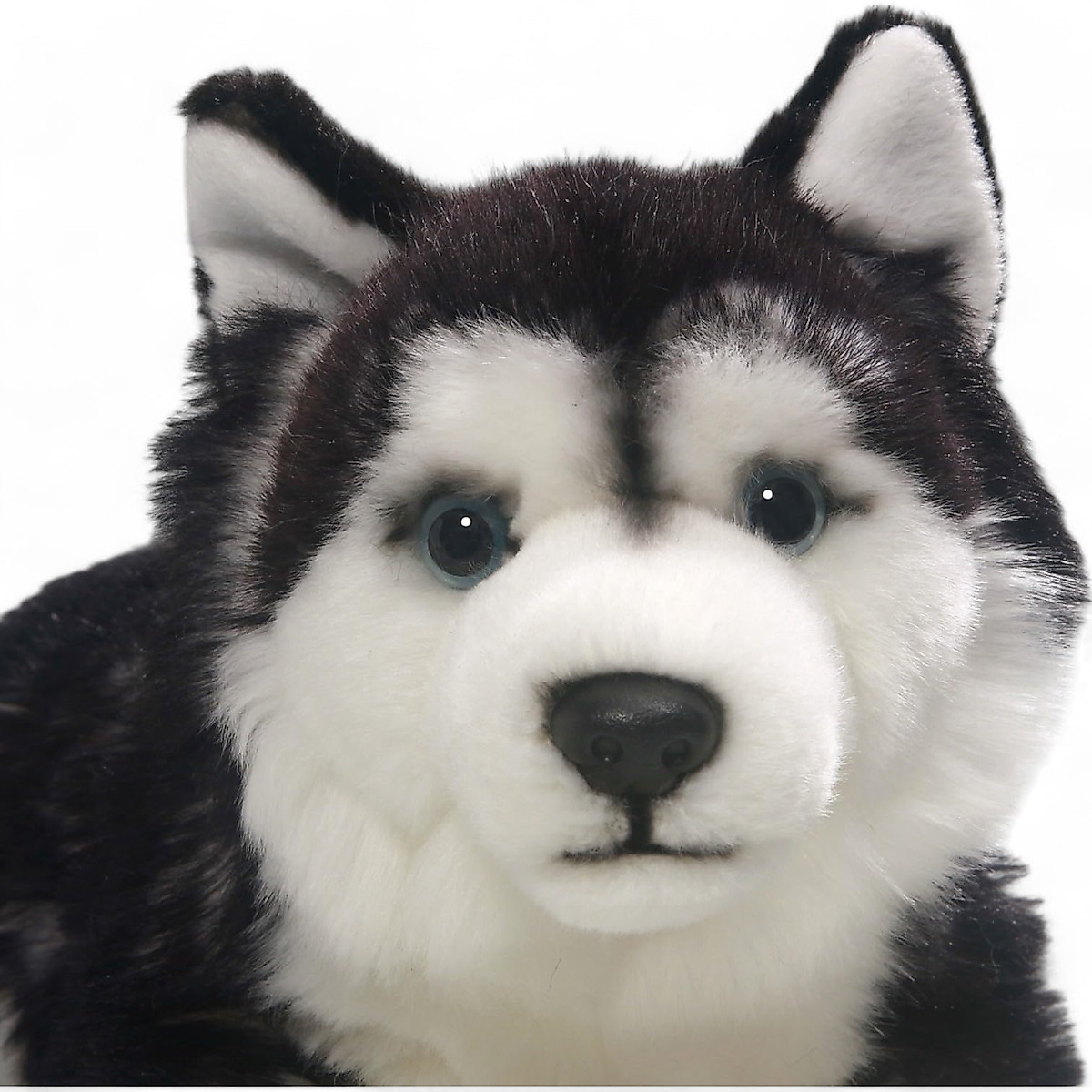 Carl Dick Husky 14 inches, 32cm Overall Length, Plush Toy, Soft Toy, Stuffed Animal 2783