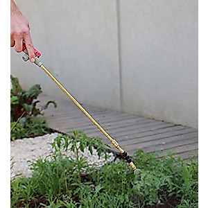 TABOR TOOLS 1.3 Gallon Lawn and Garden Pump Pressure with Pressure Relief Valve, Adjustable Shoulder Strap and Telescopic Adjustable Wand and VITON Seals. N50VA.