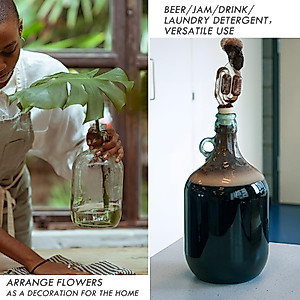 DESIYUE 2 Pack 64oz Glass Gallon Jugs with Handle and Black Plastic Lids, Half-Gallon, Gallon Glass Fermenting Jug, Glass Water Jug for Kombucha, Home Brew, Vanilla Extract, Beer, Soda,Cider (Clear)