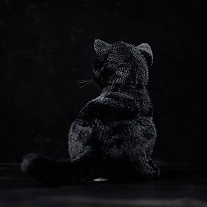 FRANKIEZHOU Realistic Black Cat Stuffed Animal-8.27",Cat Plush Toy, Soft Plush Doll for Boy,Funny Pillow,Girl Toys,Gifts for Kids, Home Decor,Hugging Toy