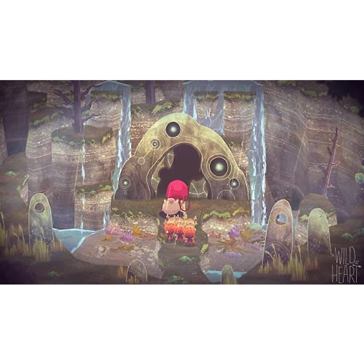 The Wild at Heart (Nintendo Switch)