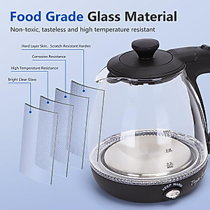 Electric Kettle with Tea Infuser, Small Electric Tea Kettle with Keep Warm Function for Home and Office, Black Taylor Swoden