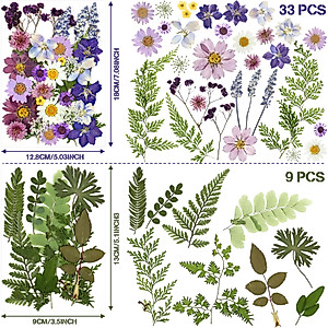 Real Dried Pressed Flowers Resin Leaves Natural Pressed Chrysanthemum Daisy Flowers with Tweezers for Scrapbooking DIY Candle Decoration Jewelry Crafts Making(Classic Style)