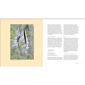 Iwigara: American Indian Ethnobotanical Traditions and Science