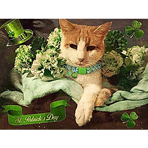 BoomBone 2 Pack St Patricks Day Cat Collar Breakaway,Safety Adjustable Collars with Bell for Kitten