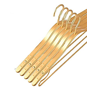 N/A 5-Pack Metal Hangers Aluminum Alloy Non-Slip Thickened Winter Coat Hangers Household Storage Hangers (Color : Gold, Size : 44.5 * 20.5cm)