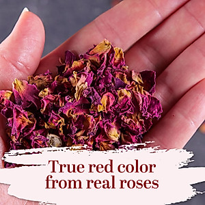 Dried Rose Petals | Edible, Food Grade Red Petals for Cooking and Tea | Suitable for Soap Making, Infused Oils, Lipgloss, Bath Bombs, Bath, Wedding Confetti | 4 oz by Better Shea Butter