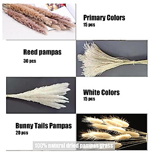 Pampas Grass 80 pcs 17.5 inch Natural Dried Pampas Grass - 15Pcs White Pampas & 15Pcs Brown Pampas & 30Pcs Reed Grass & 20Pcs Bunny Tail Grass,Fluffy Dried Flowers for Home Decor Wedding Boho Decor…