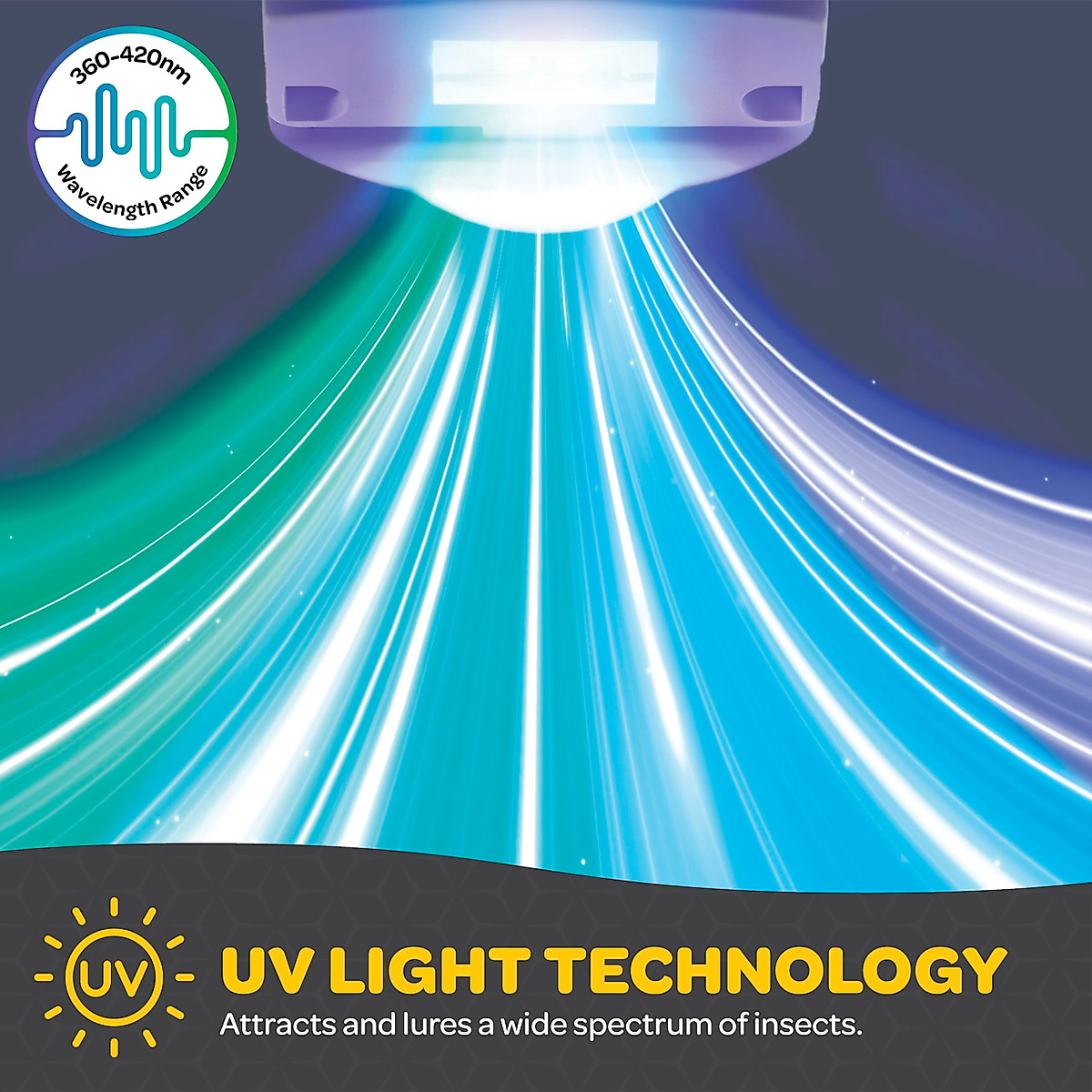 Fly Trap Indoor (2PK) Capture Flies, Moths, Fruit Flies, Gnats, Mosquito Trap, Plug-in Gnat Traps for House Indoor with Attractive UV Light Odor/Mess-Free. 600 Sq Ft Protection (2 Devices + 6 Refill)