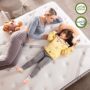 Lechepussleep Twin XL Mattress,Lechepus 10 Inch Premium Memory Foam Hybrid Mattress in Box,Pocket Springs with Memory Foam for Back Pain,Medium Firm Breathable Soft Cover Mattress 10-Years Support