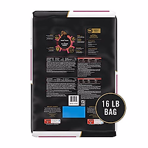 Purina Pro Plan Sensitive Skin and Stomach Cat Food, Lamb and Rice Formula - 16 lb. Bag