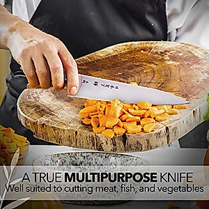 JCK ORIGINAL Kagayaki CarboNext Japanese Chef’s Knife, KC-6ES Professional Gyuto Knife, High Carbon Tool Steel Pro Kitchen Knife with Ergonomic Pakka Wood Handle, 9.4 inch