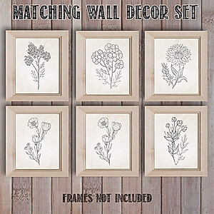 Beige Florals in Black and White Set of 6-8x10 Unframed Art Prints - Makes a Great Gift to Gardening Enthusiasts and Lovely Living Room Decor Under $20
