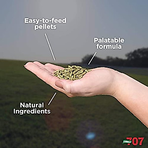 Formula 707 Daily Essentials Equine Supplement, 6lb Bucket – Complete Vitamins and Minerals for Superior Health and Condition in Horses