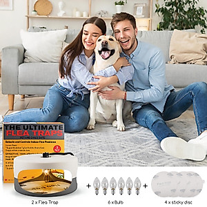2 Pack Flea Traps for Inside Your Home with 4 Sticky Disc & 6 Bulbs & 2 Electric Wires, Flea Killer Indoor Bed Bug Trap Pest Control, Non Toxic & Harmless, Friendly to Pets & Kids