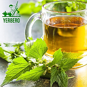 Yerbero - Stinging Nettle Leaf & Root Loose Tea 4oz (113 gr) | Urtica Dioica | Makes 30+ Cups | Wildcrafted, Stand Up Resealable Bag | Crafted By Nature100% All Natural, non-GMO, Gluten-free.