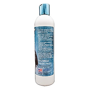 Bio-Groom Groom 'N Fresh Dog and Cat Conditioning Shampoo, 12-Ounce