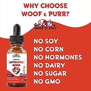Natural Cat Antibiotic - Antibiotics for Cats - Pet Antibiotics - Cat Antibiotics - Cat Allergy Relief for Cats - Antibiotic for Cats - Cat UTI Antibiotics - 1 fl oz: Roast Chicken Flavor