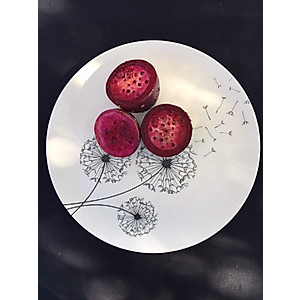 Aquaterra Living Ecofriendly Dinner Plate Set with Dandelion Designs- Set of 6, 10" indoor or outdoor plates