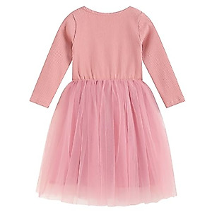 BTGIXSF Baby Girls Tutu Dress Toddler Long Sleeve Tulle Dress Princess Infant Party Dresses 698 Pink 110