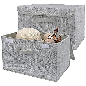 GRANNY SAYS Bundle of 2-Pack Large Storage Bins with Lids & 2-Pack Socks Storage Organizers