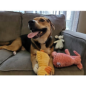 Adorable Plush and Squeaky Dog Chew Toys (3-Pack, Duck, Lamb, and Pig) - by Imbo Pets