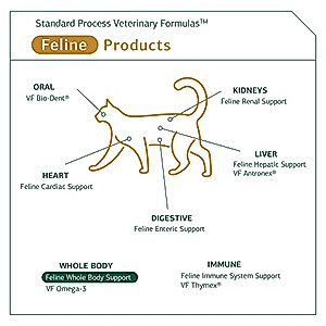 Standard Process - Feline Whole Body Support - Daily Supplement for Cats - 90 Tablets