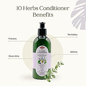 OTACI 10 Herbs Rejuvenate and Soften Conditioner for All Hair Types, Sage, Peppermint, Melissa, Rosemary, Myrtle, Storax, Thyme, Juniper, Lavender, Chamomile, No Paraben, No Alcohol Herbal Conditioner