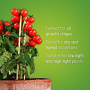 GE Grow Light LED Indoor Flood Light Bulb, Balanced Light Spectrum for Seeds and Greens, 9 Watts, Medium Base (Pack of 1)