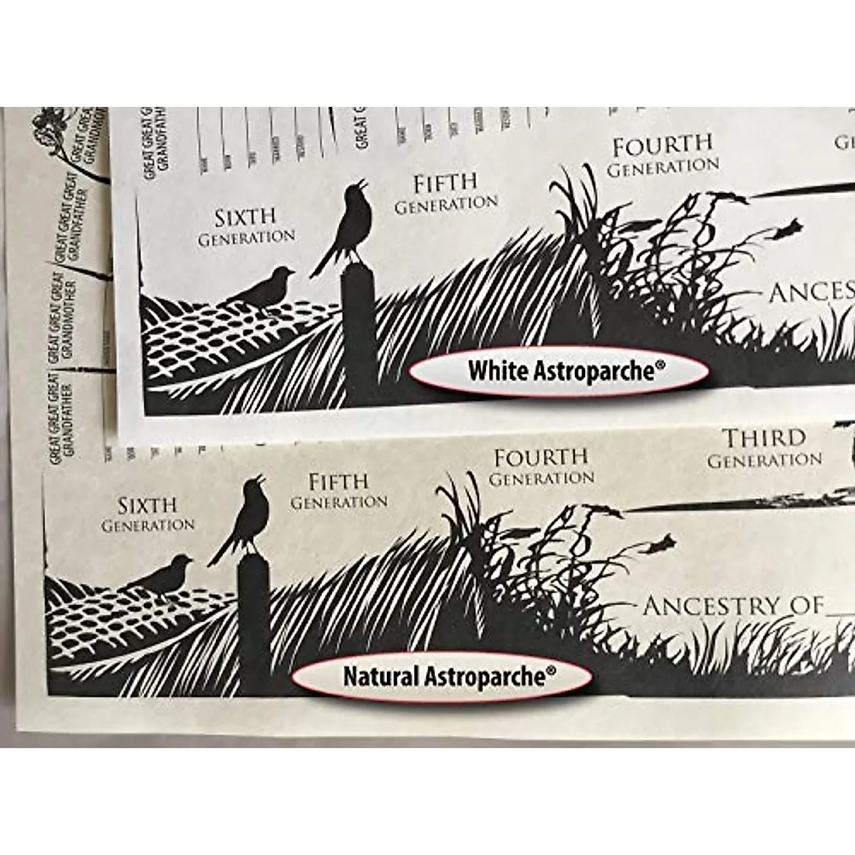 Family tree chart 2-per-order blank posters to be personalized w/genealogy, gifts for baby, men, women, grandparents, mother/father in-laws.