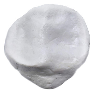 Patella Bone Model - Right - Anatomically Accurate Human Kneecap Bone Replica - hBARSCI