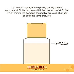 Burt's Bees for Pets Dogs Natural Itch Soothing Shampoo with Honeysuckle | Anti-Itch Dog Shampoo, 16 Ounces - 6 Pack (FF7266CP6)