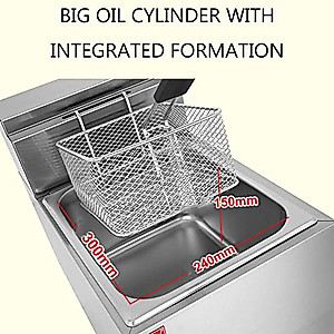 Commercial Deep Fryer,Large Capacity Commercial Countertop Gas Fryer,Two Tank Outdoor Countertop Fryers for Restaurant Home Fries Chip,Double Cylinder