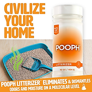 POOPH Litterizer - Litter Box Civilizer, 16oz - Dismantles Odors on a Molecular Basis, Freshener, Eliminator, Urine, Pee, Deodorizer, Fresh, Clean, Potty, Safe