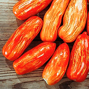 Speckled Roman Tomato Seeds for Planting, 100+ Heirloom Seeds Per Packet, (Isla's Garden Seeds), Non GMO Seeds, Botanical Name: Lycopersicon lycopersicum, Great Home Garden Gift