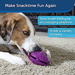 PetSafe Busy Buddy Twist 'n Treat Dispensing Dog Toy - Small, for Medium Breeds.,Small
