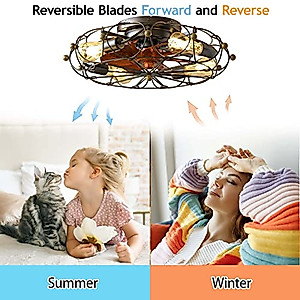 Ceviept Caged Ceiling Fans with Lights and Remote Control, Flush Mount Ceiling Fan with Light, Include Bulbs 6 Speeds Reversible Blades, Low Profile Ceiling Fan, Farmhouse Modern Lighting Fan-Black