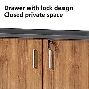 File cabinets for Home Office,Wood File Cabinet with Lock Wheels,Printer Stand with Open Storage,High Capacity File Organizer Multifunctional Mobile Filing Cabinet with Open Storage Shelf Black