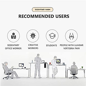 Xenusa Computer Desk Height Adjustable Standing Desk Ergonomic Electric Home Office Stand Up Computer Workstation (Maple Wood, 63 in)