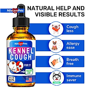 Kennel Cough Treatment ✿ Dog Cough Treatment ✿ Сat Сough ✿ Dog Cough Medicine Dietary Supplement ✿ Kennel Cough Treatment at Home for Dogs & Cats ✿ for Pets with Love ✿ 2 Oz